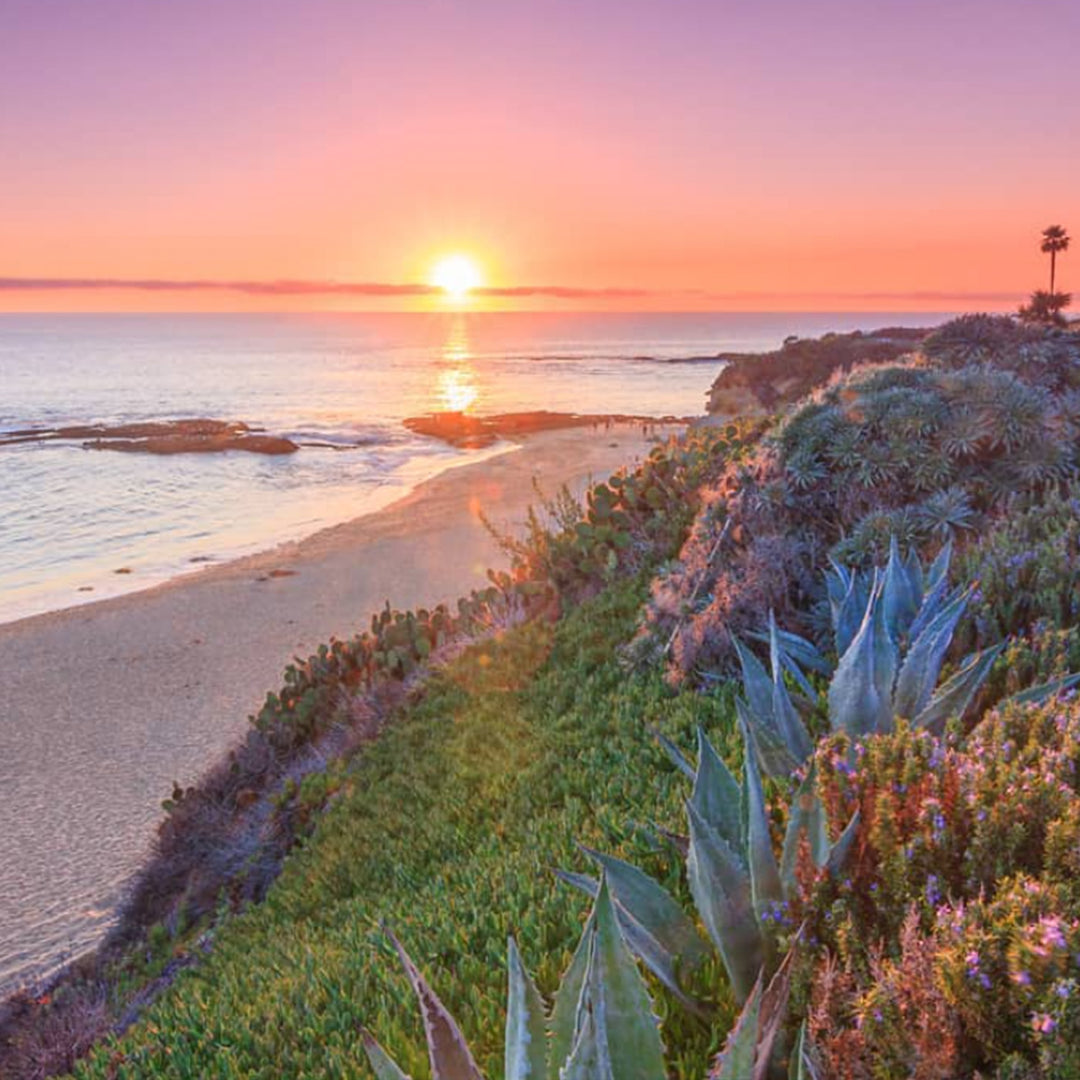 caliray | California Beauty Unfiltered